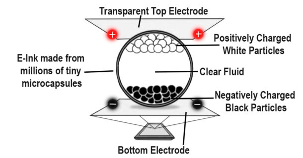What is E-Ink and How Does It Work? | Wiii Digital